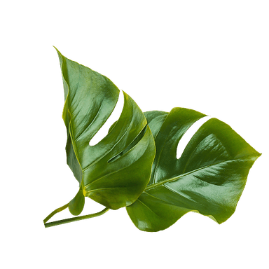 Peste 20.000 de participanți au accesat deja puterea practicilor ...